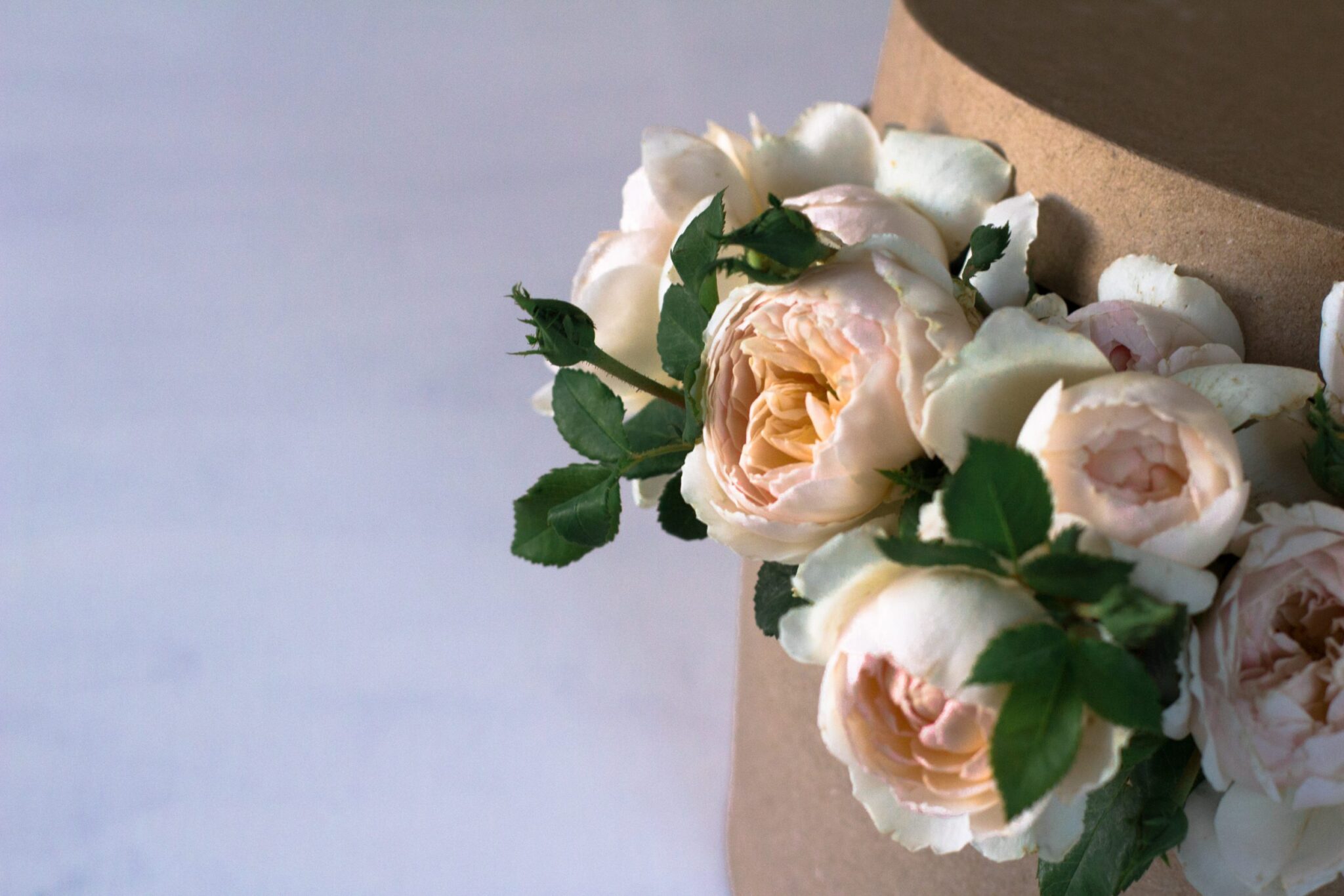 San Francisco Florist | Flower Delivery By Bloom Gallery Flowers